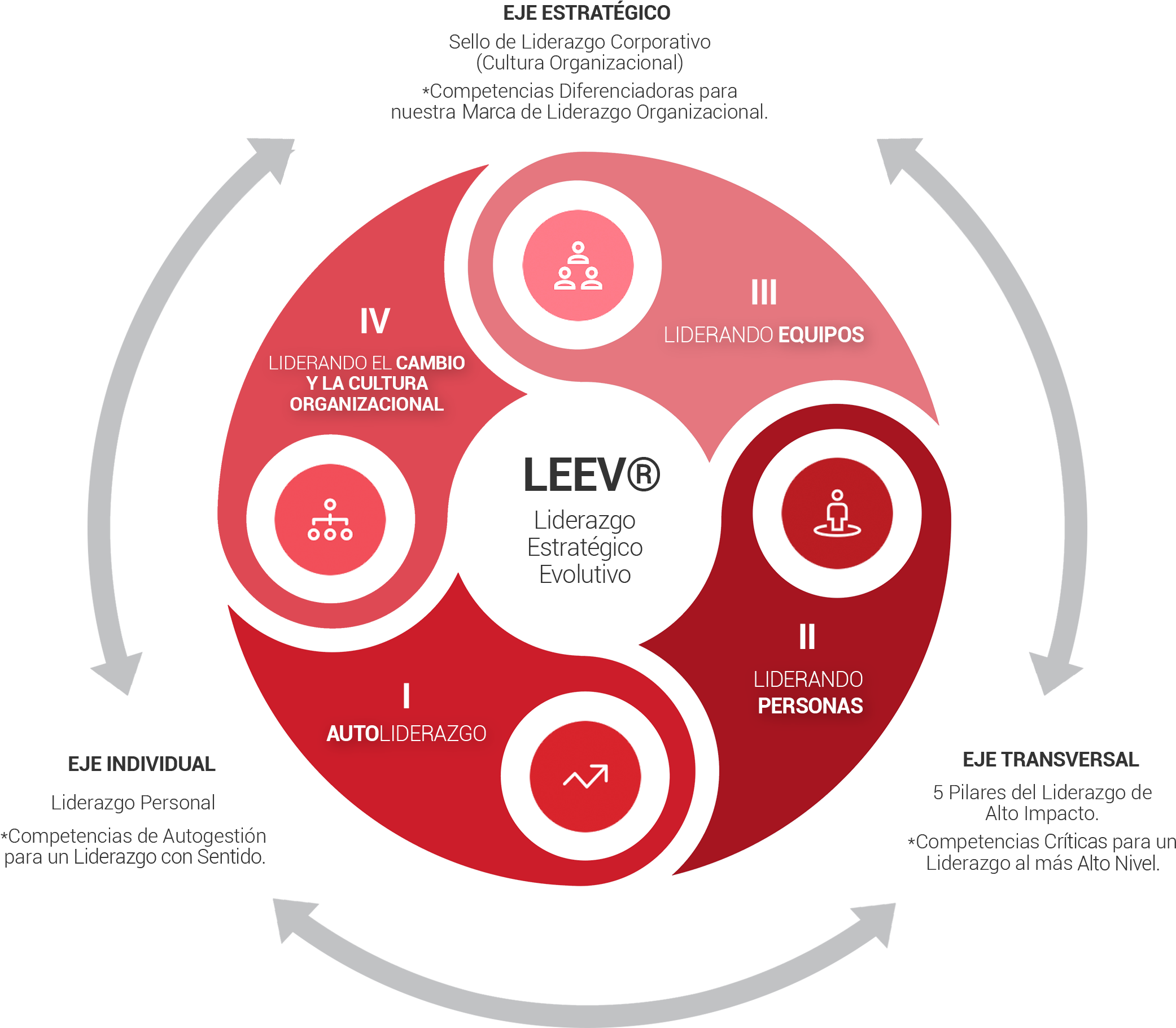 Download Leev® Constituye Un Modelo De Desarrollo Basado En - Circle ...