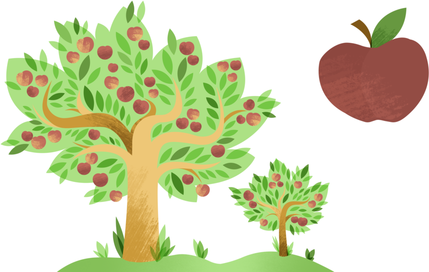 Download Apple Assets Apple Tree - Full Size PNG Image - PNGkit