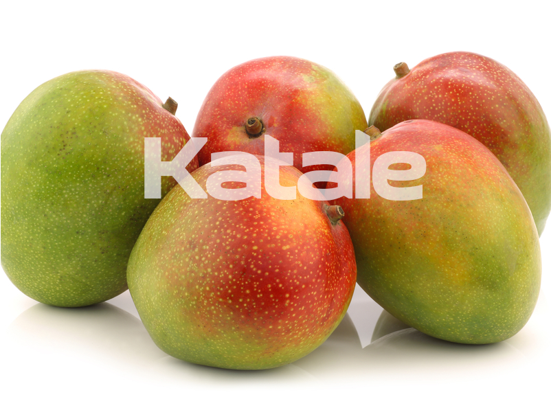 Download Kent Mangoes - Mango - Full Size PNG Image - PNGkit