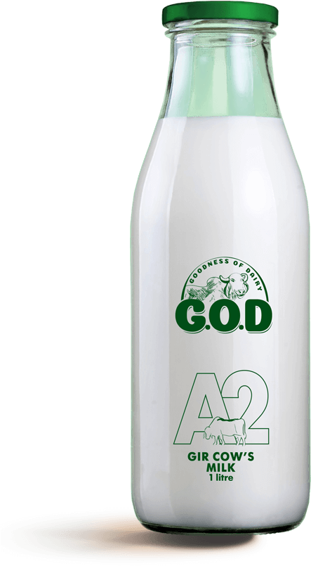 Download Organic Gir Cow Milk, Desi Gir Cow, G - Plastic Bottle - Full ...