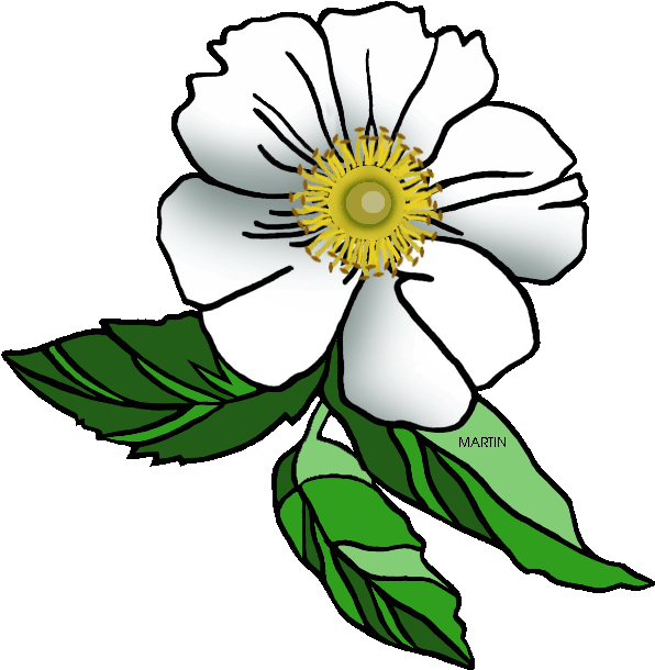 Download Alluring Georgia State Flower United States Clip Art - Georgia ...