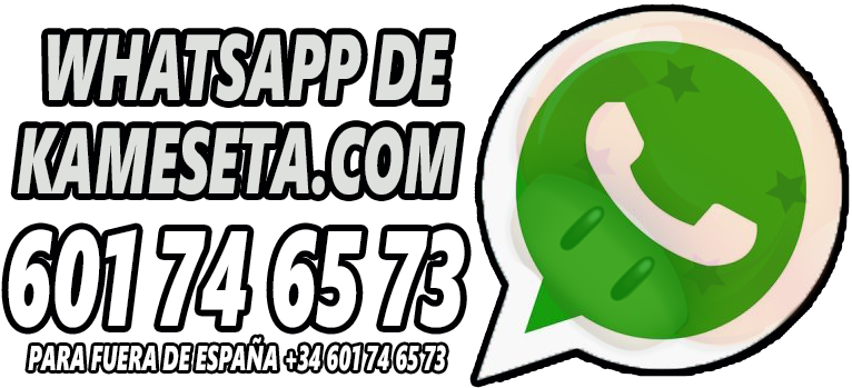 Download 0 - Snail - Full Size PNG Image - PNGkit