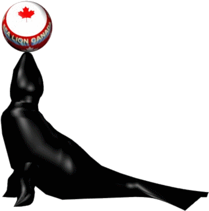 Download Laveuses Et Sécheuses - Laundry Room - Full Size PNG Image ...