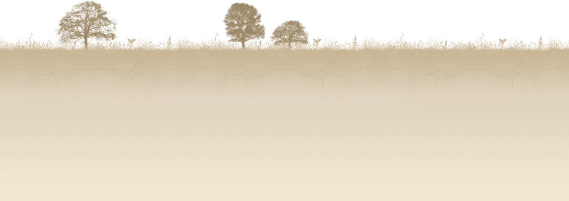 Download Footer-background - Footer Background - Full Size PNG Image ...