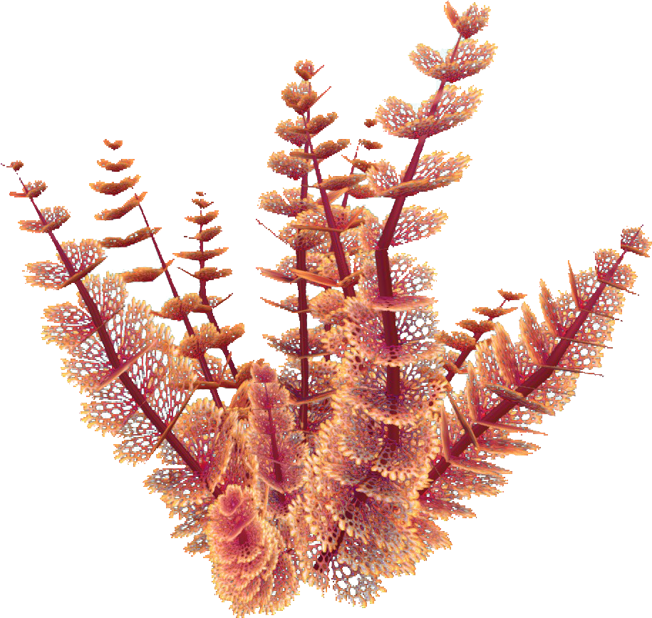 Download Red Bush Flora - Wiki - Full Size PNG Image - PNGkit