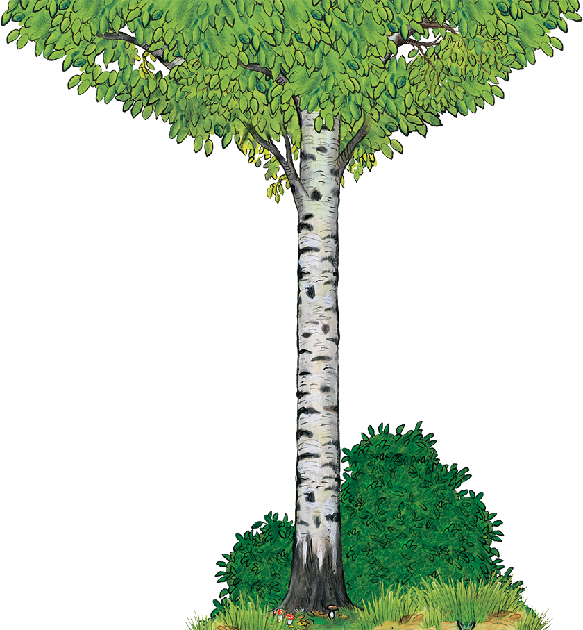 Download Gruffalo-tree - Tree From The Gruffalo - Full Size PNG Image - PNGkit