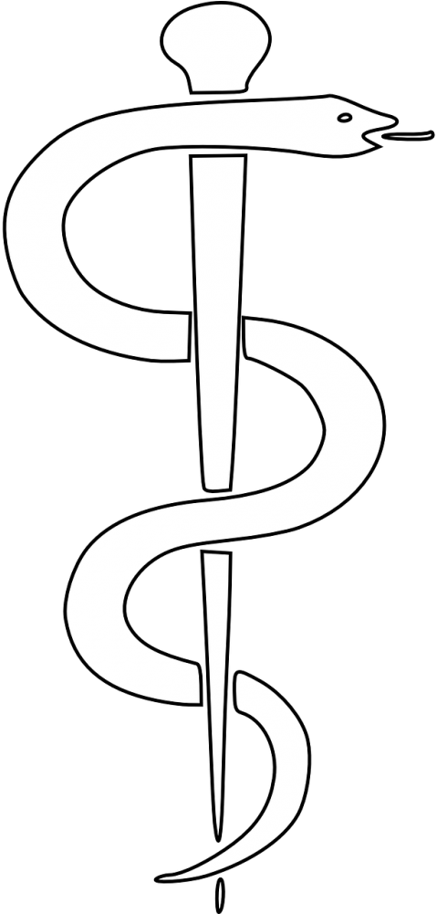 Download Aesculapian Staff,rod Of - Rod Of Asclepius - Full Size PNG ...