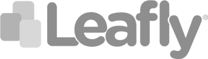 Download Leafly Logo Dark 1 Copy 1 - Leafly - Full Size PNG Image - PNGkit