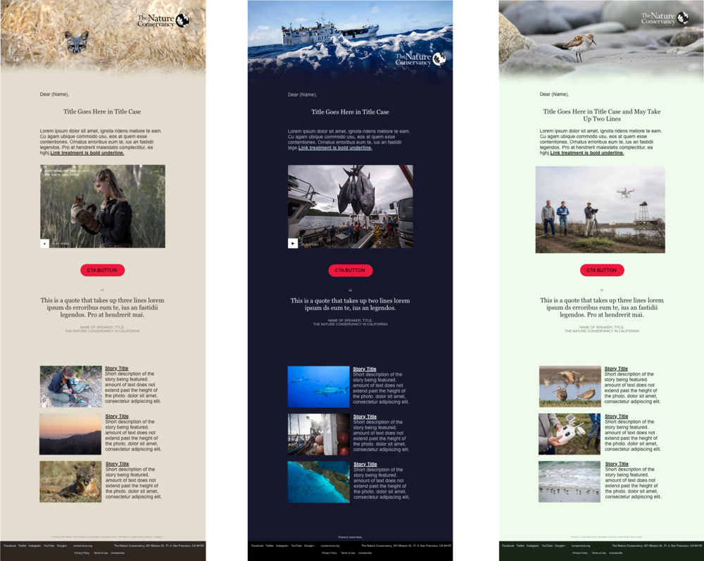 Download Email Template Design - Online Advertising - Full Size PNG ...