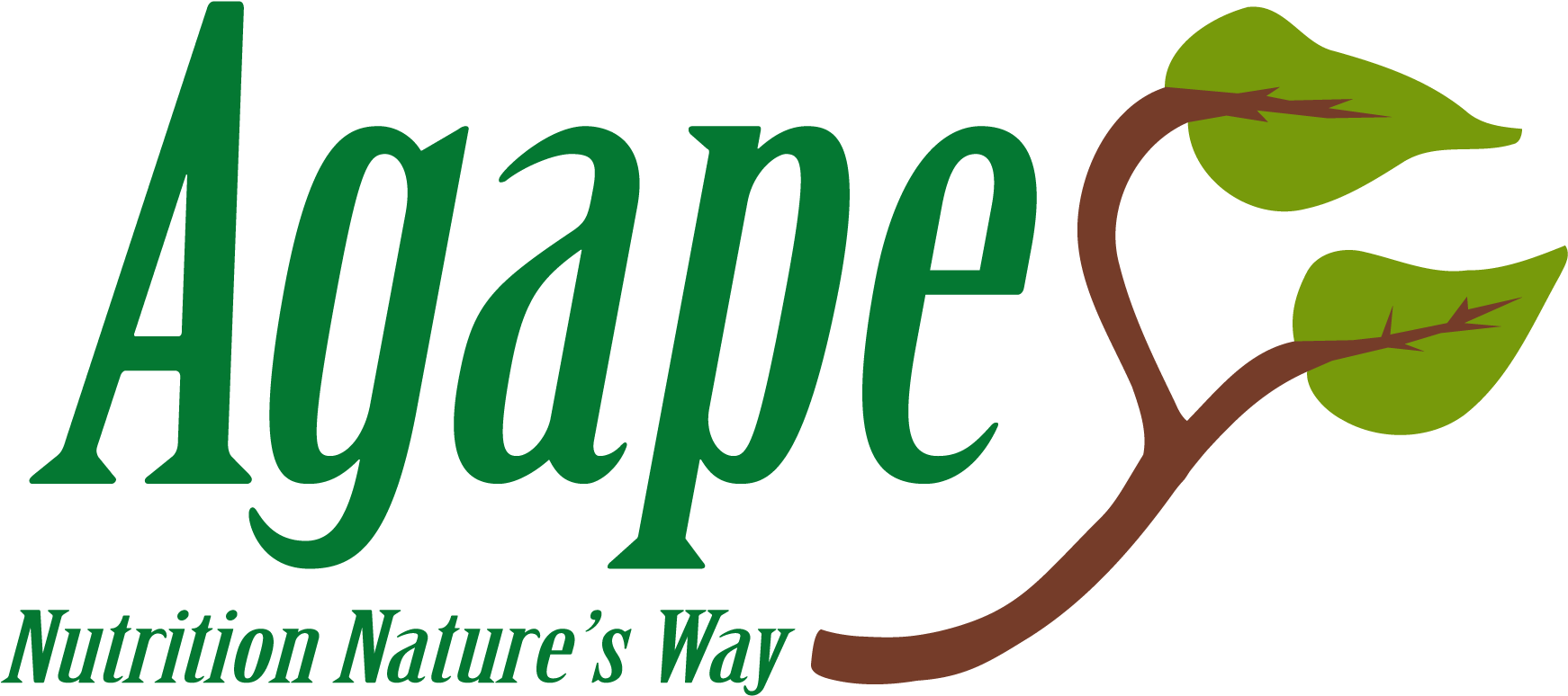 Download Sweetpro's Bruiser Wins Pbr Bull Of The Year Championship ...