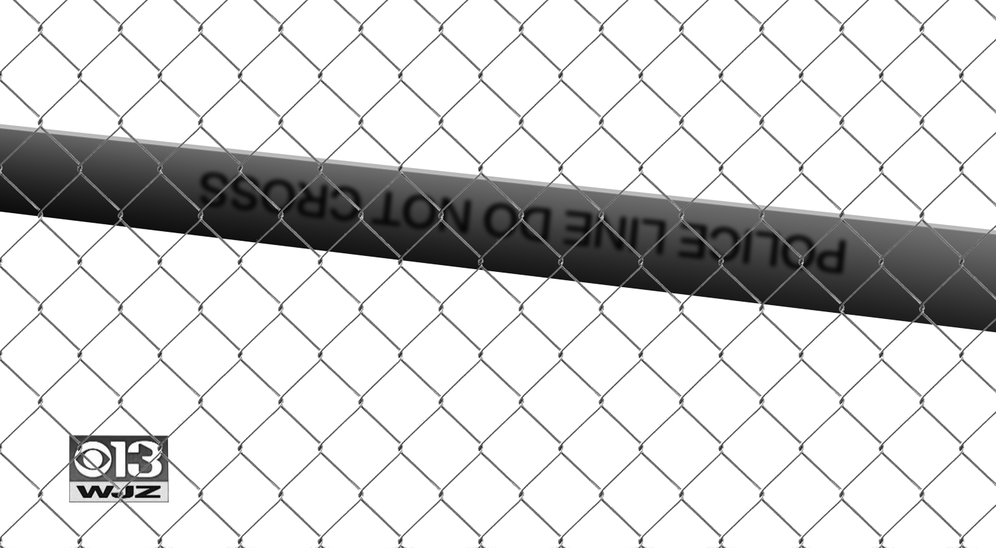 Download Fanatics Next - Chain-link Fencing - Full Size PNG Image - PNGkit