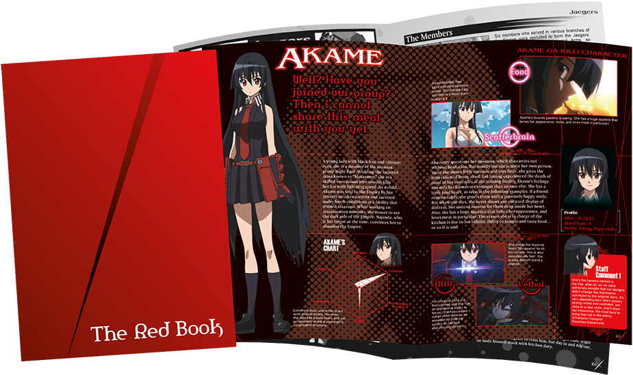 Download Outer Box • Hard Cover Booklet - Akame Ga Kill Red Book - Full ...