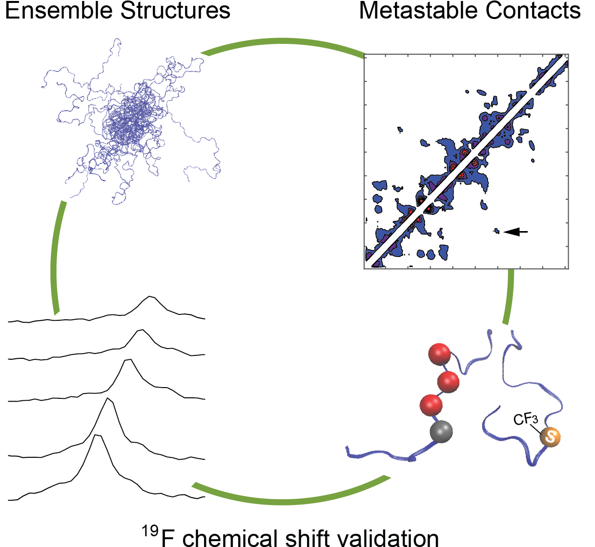 Download The N Terminal Transactivation Domain Of Estrogen Receptor ...