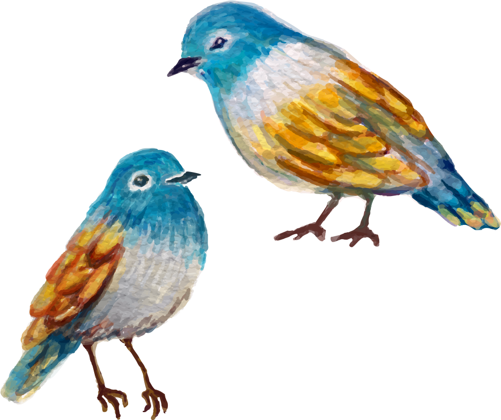 Download Finch Painting Birds Transprent - Bird Painted Transparent ...