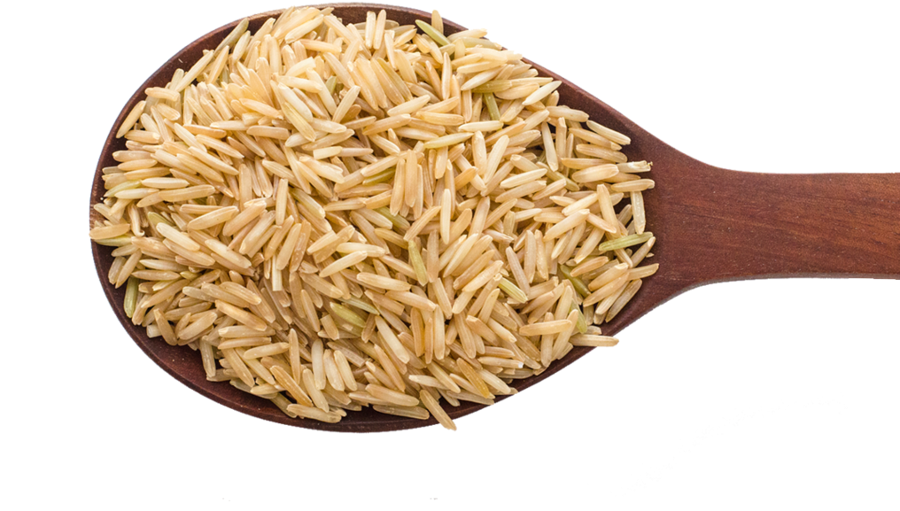 Download Rice Png Image - Brown Rice Png - Full Size PNG Image - PNGkit