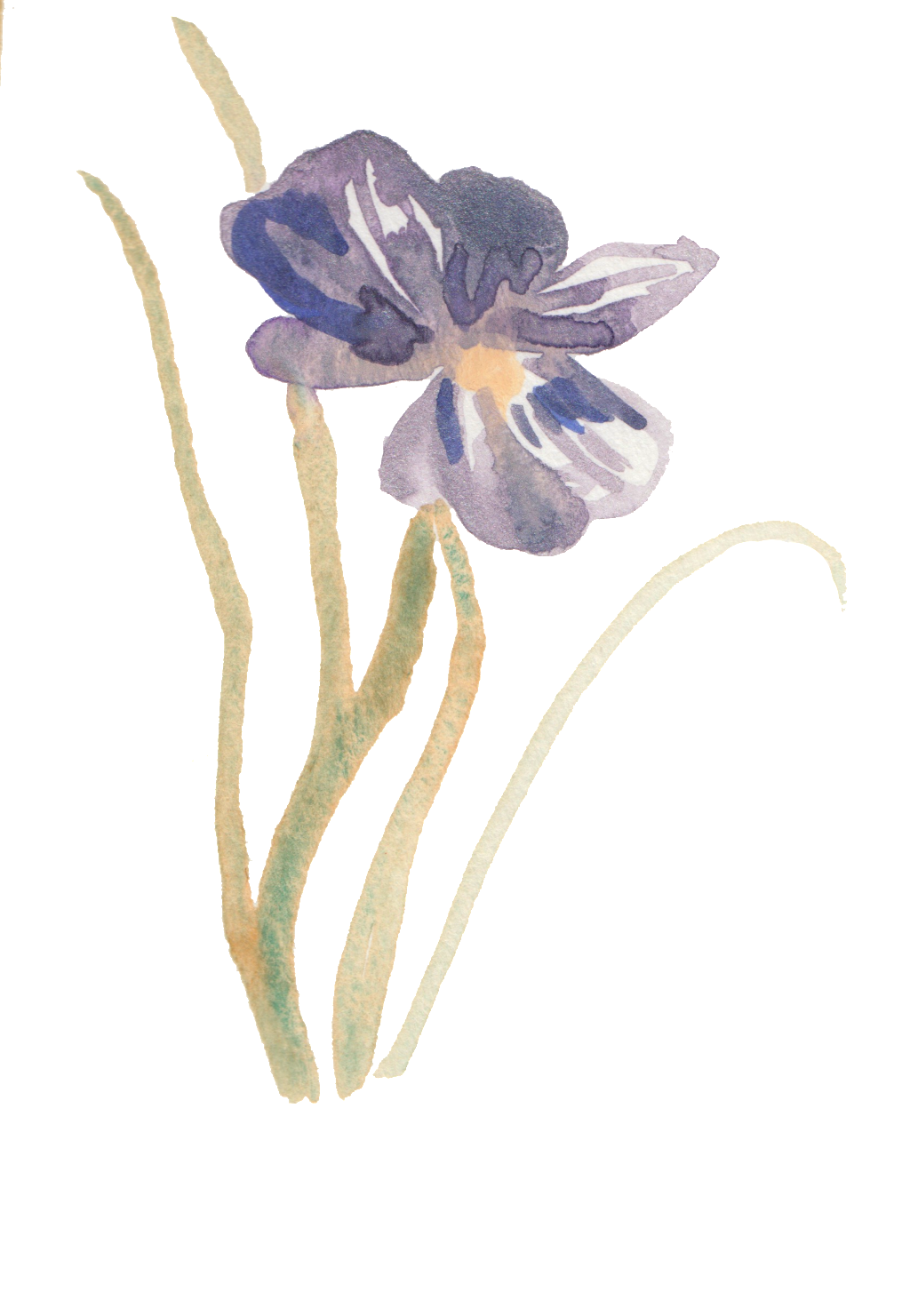 Download This Graphics Is Hand Drawn Close-up Dead Magnolia - Close-up ...