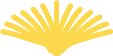 Download Halidon Primary School - Full Size PNG Image - PNGkit