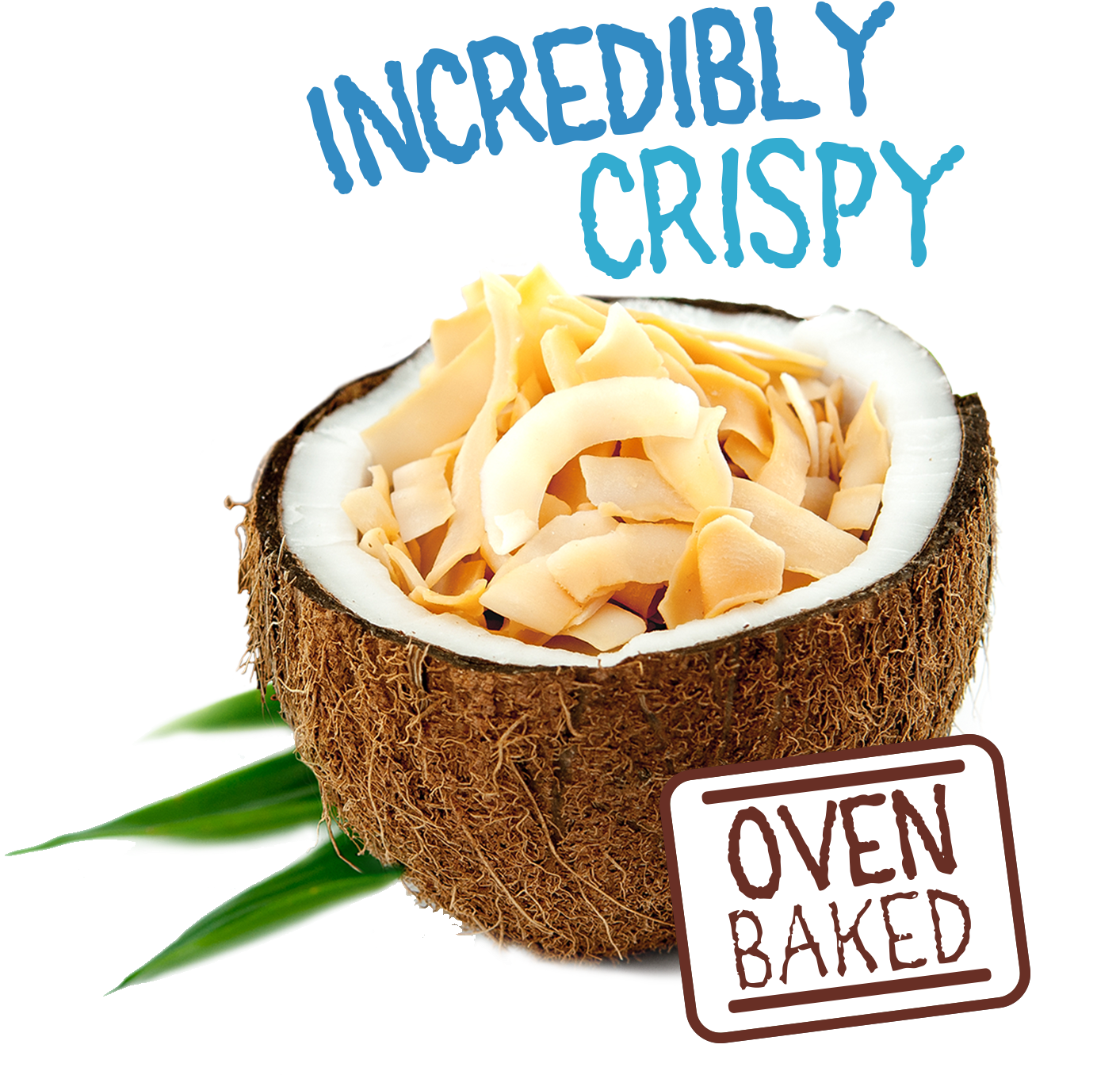 Download Coconutchips Original 40g Export - Full Size PNG Image - PNGkit