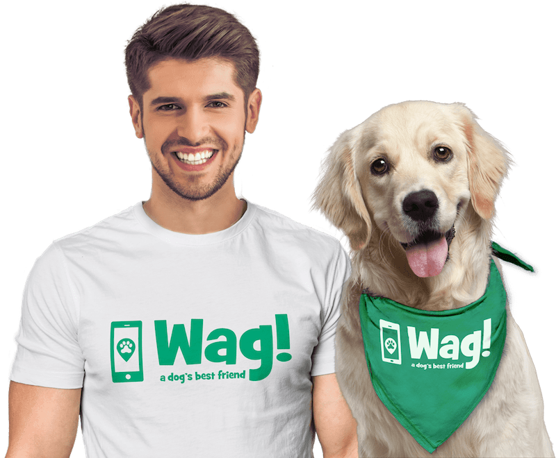 Download Wag Walker - Full Size PNG Image - PNGkit