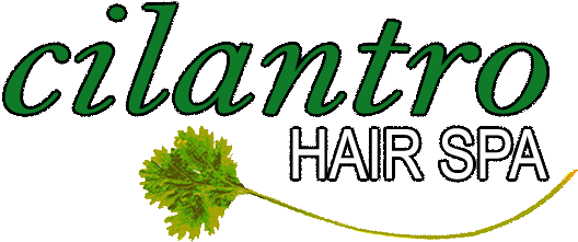 Download Cilantro Hair Spa - Cilantro Hair - Full Size PNG Image - PNGkit