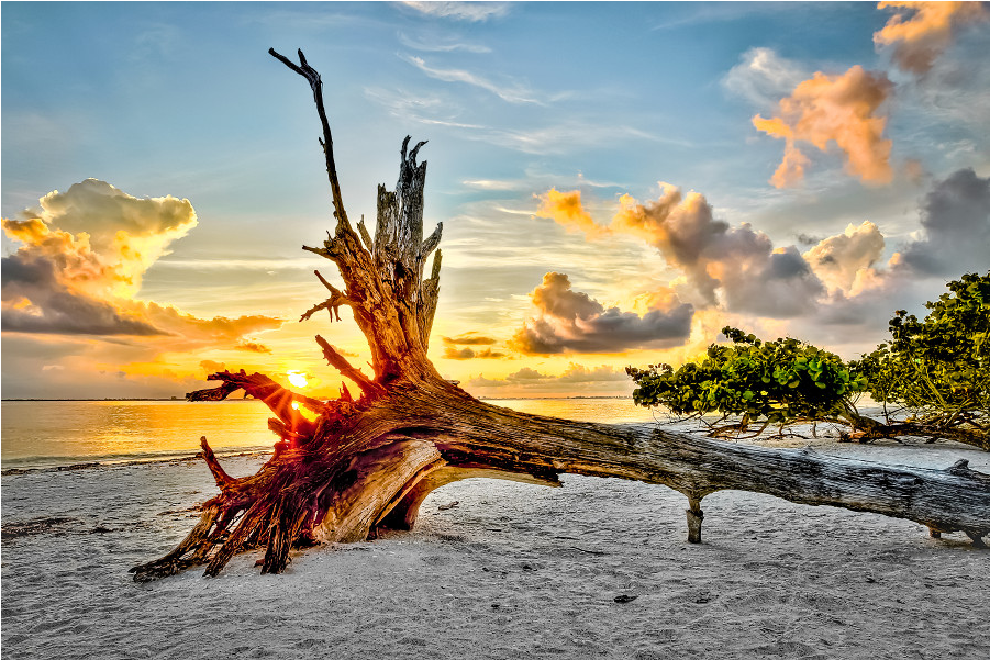 Download Poster: Goodman's Sanibel Sunrise, 61x41in. - Full Size PNG ...
