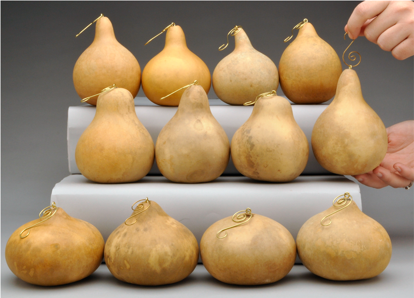 Download Fancy Hook Craft-ready Gourd Ornaments - Gourd - Full Size PNG ...