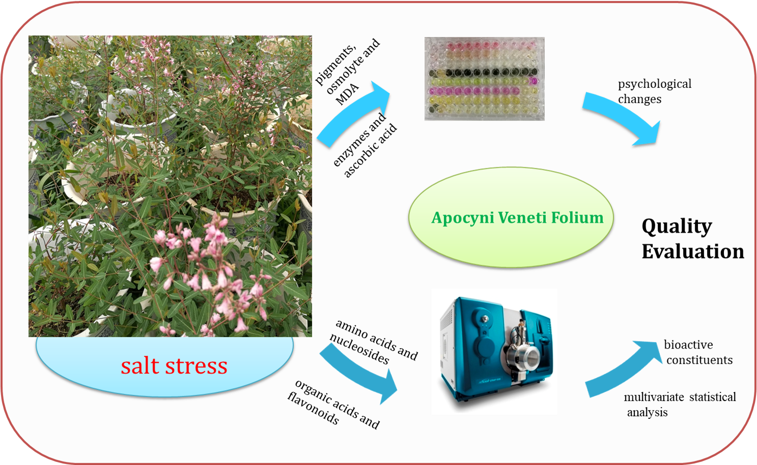 Download Graphical Abstract - Botanical Garden - Full Size PNG Image ...