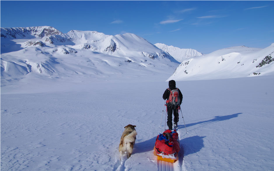 Download Inuit Lines - Snow - Full Size PNG Image - PNGkit