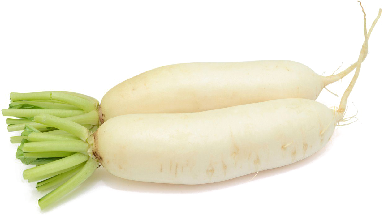 Download Mooli Png File - Daikon - Full Size PNG Image - PNGkit