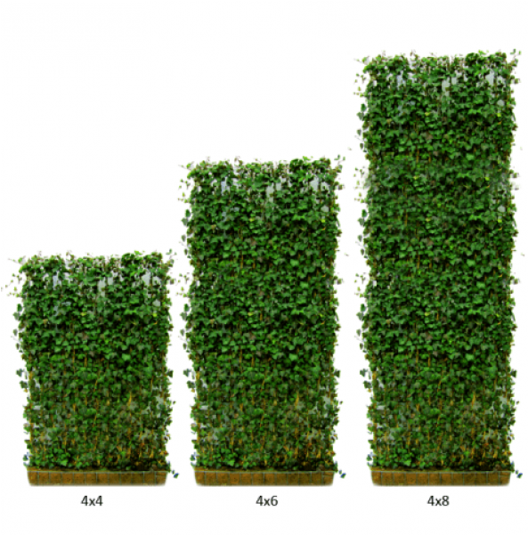 Download Variety Of Heights - Green Wall Screen Planter - Full Size PNG ...