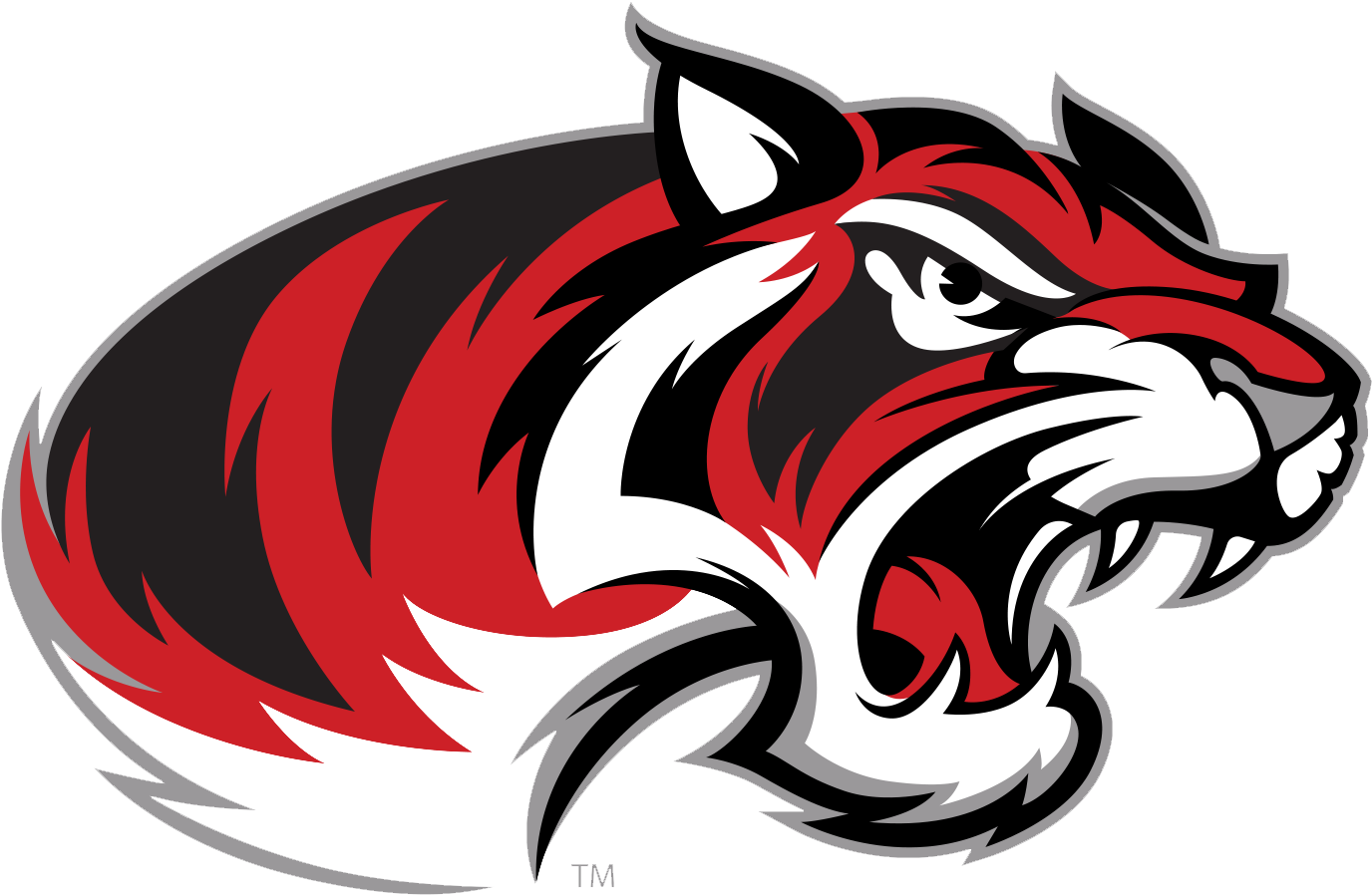 Download Braswell High School Football - Braswell Bengal Football ...