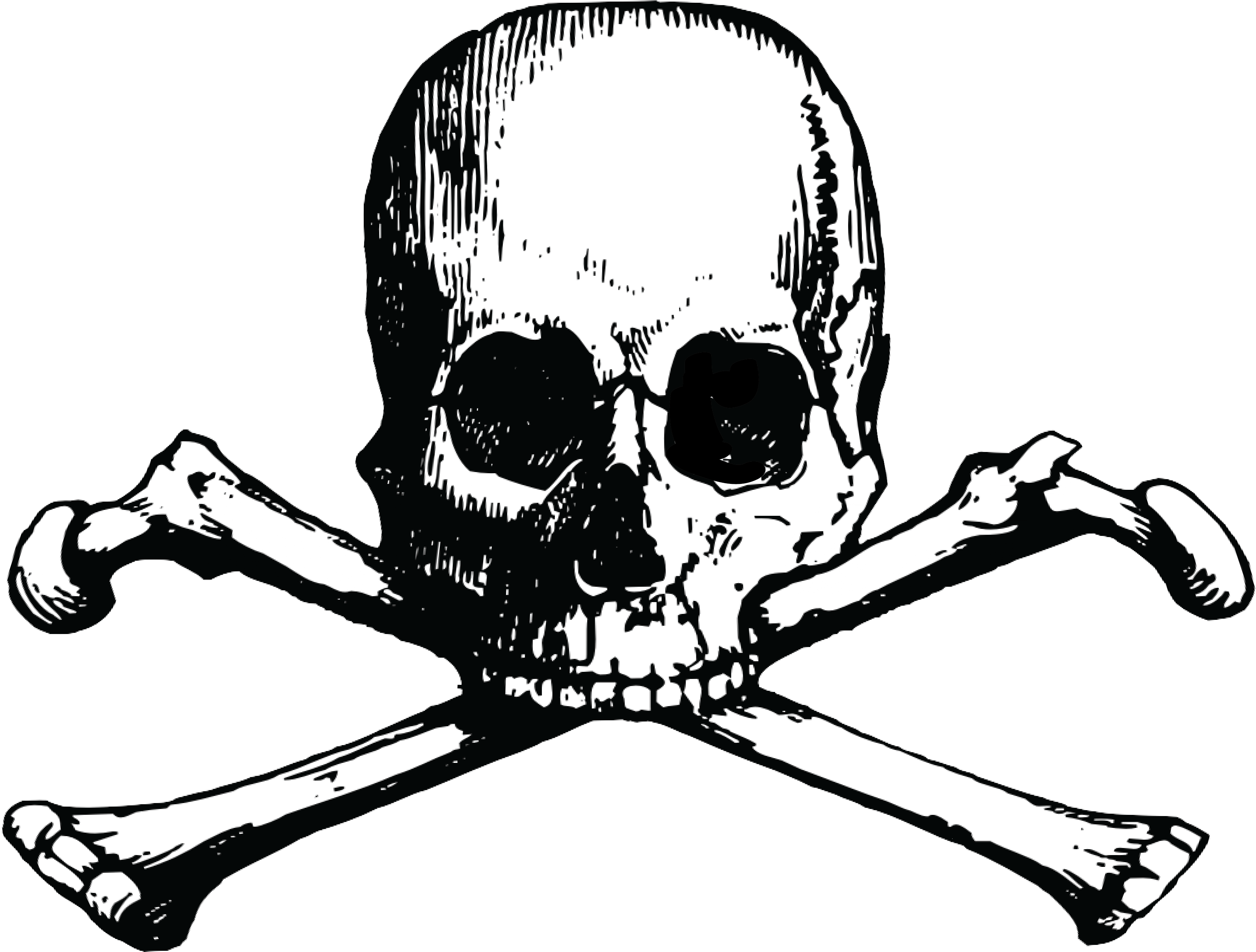 Download Logo Logo - Skull And Bones Png - Full Size PNG Image - PNGkit