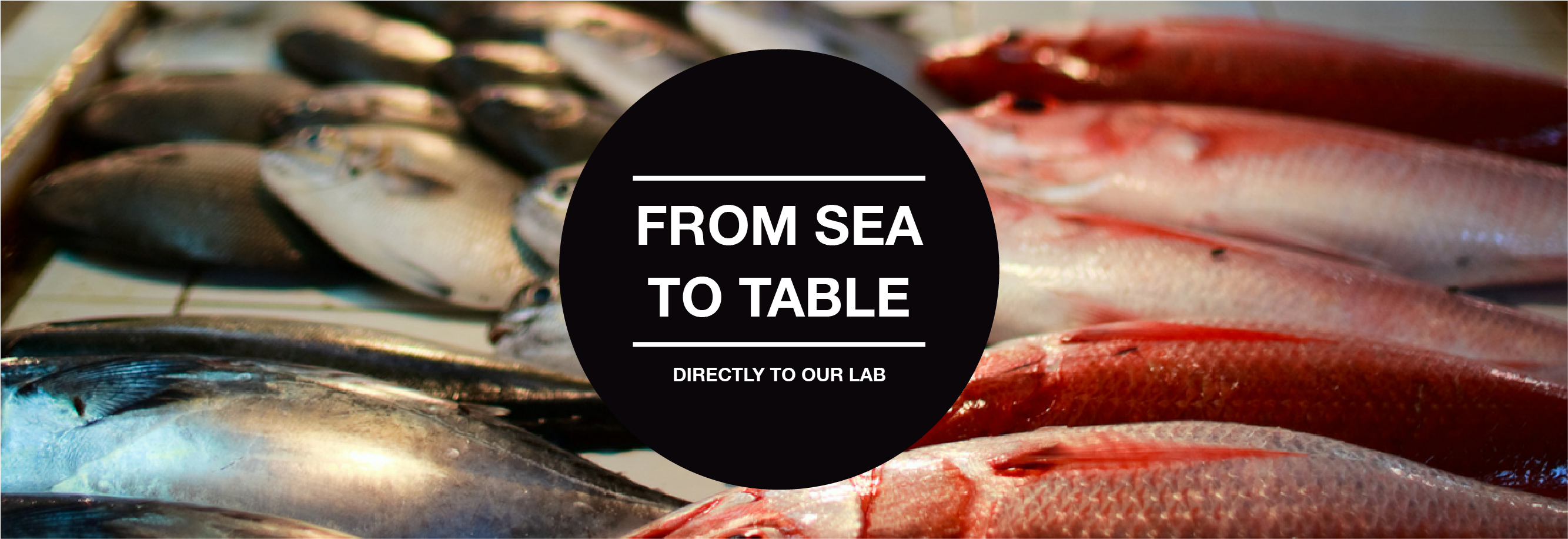 Download Previous Next → - Samgyeopsal - Full Size PNG Image - PNGkit