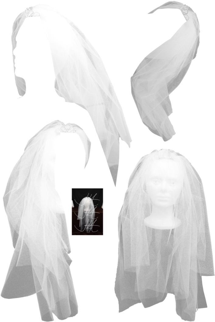 Download Wedding Veil Png - Transparent Veil Png Veil - Full Size PNG ...
