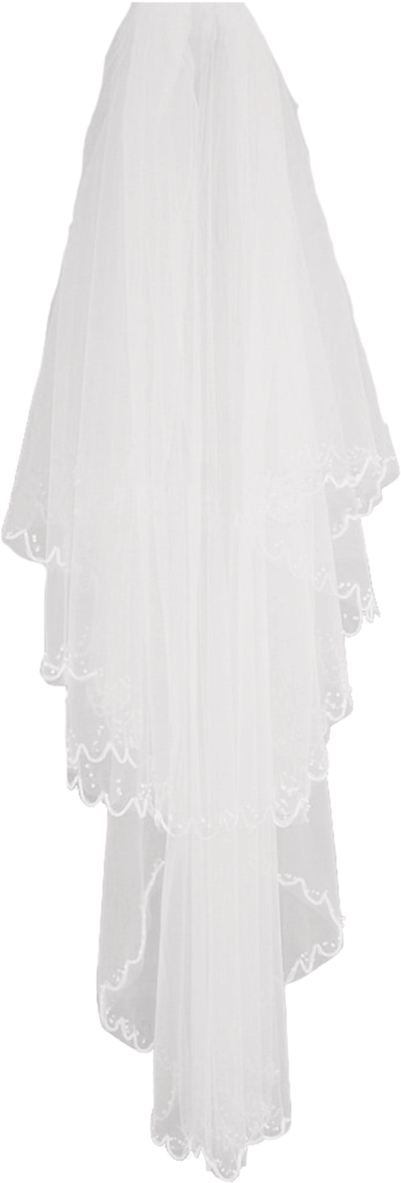 Download Veil 2 By ~hellonlegs On Deviantart Wedding Inspiration ...