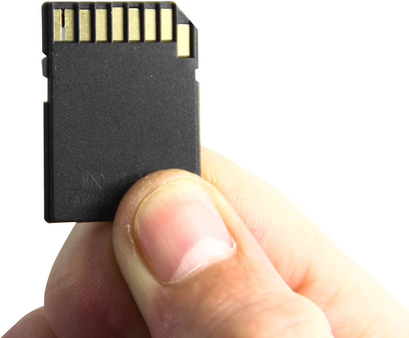 Download Hand Holding Memory Card Png Image - Memory Card - Full Size ...