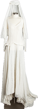 Download Mosquito Netting Wedding Dress & Veil - Gown - Full Size PNG ...