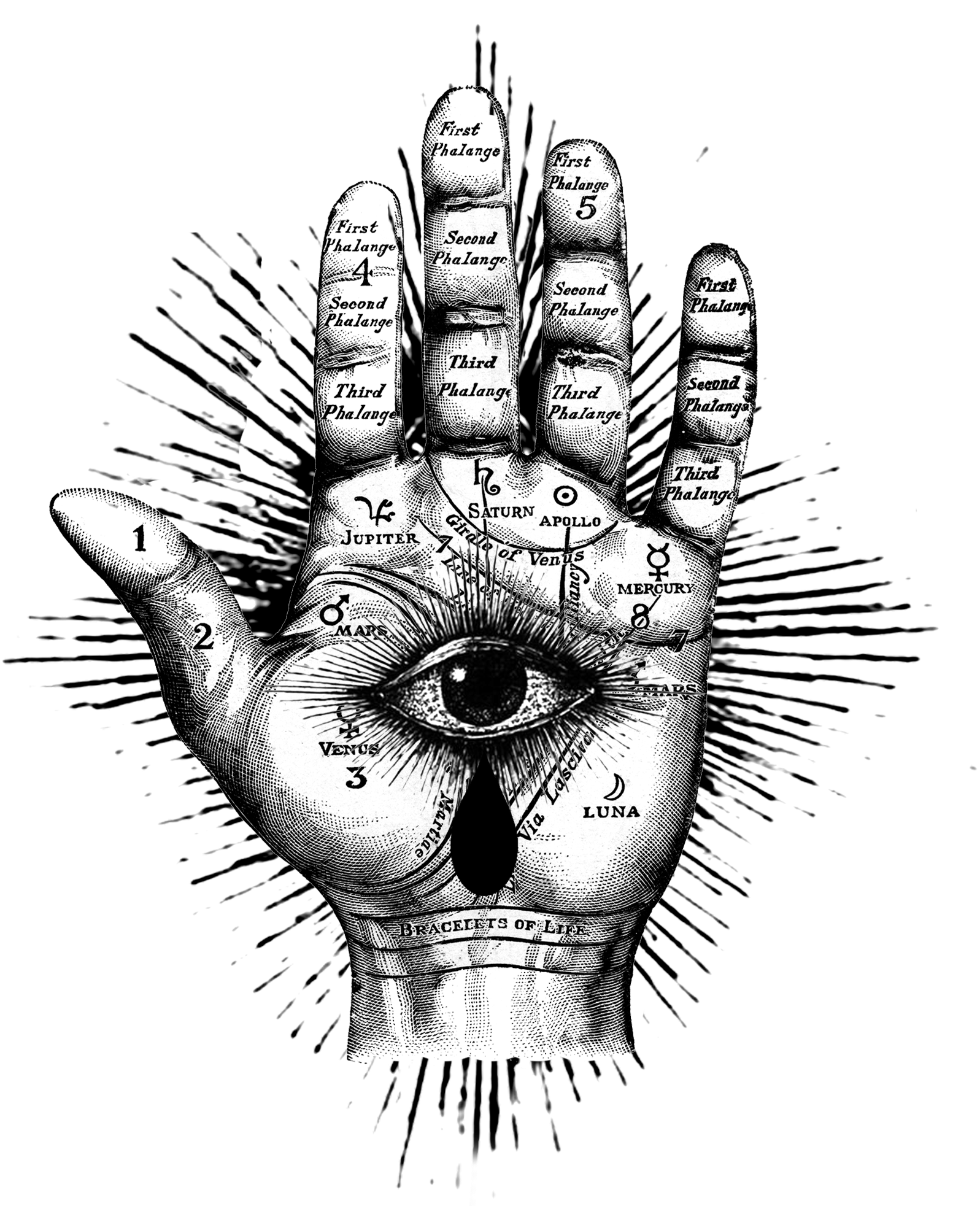 Download Gypsy Oracle Cards - Stretched Canvas Print: Map Of The Hand ...