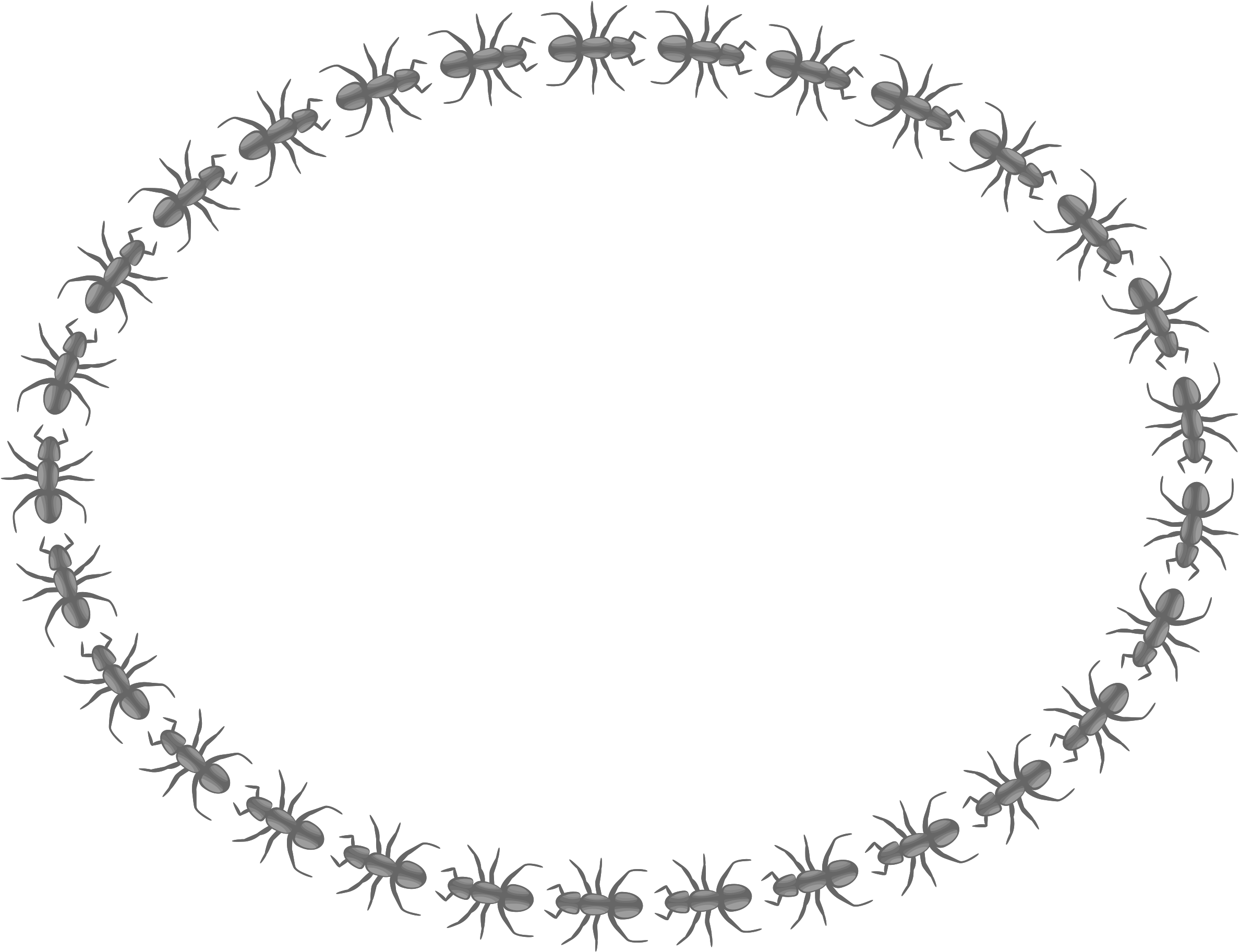 Download Ant Border Png Clipart Black And White Download - Circle ...