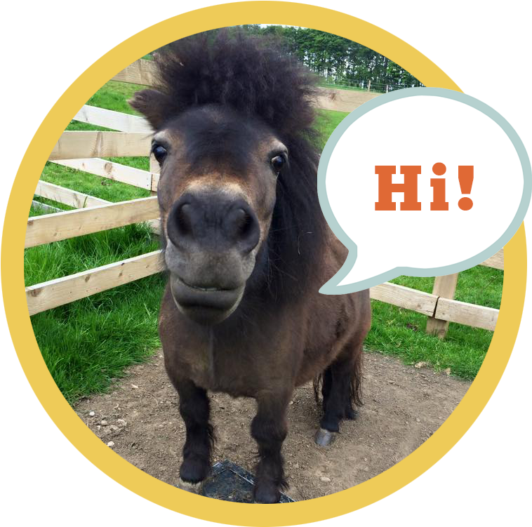 Download Little Alf Says Hello - Burro - Full Size PNG Image - PNGkit