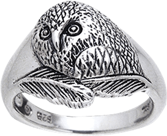 Download White Bronze Barn Owl Ring - Titanium Ring - Full Size PNG ...
