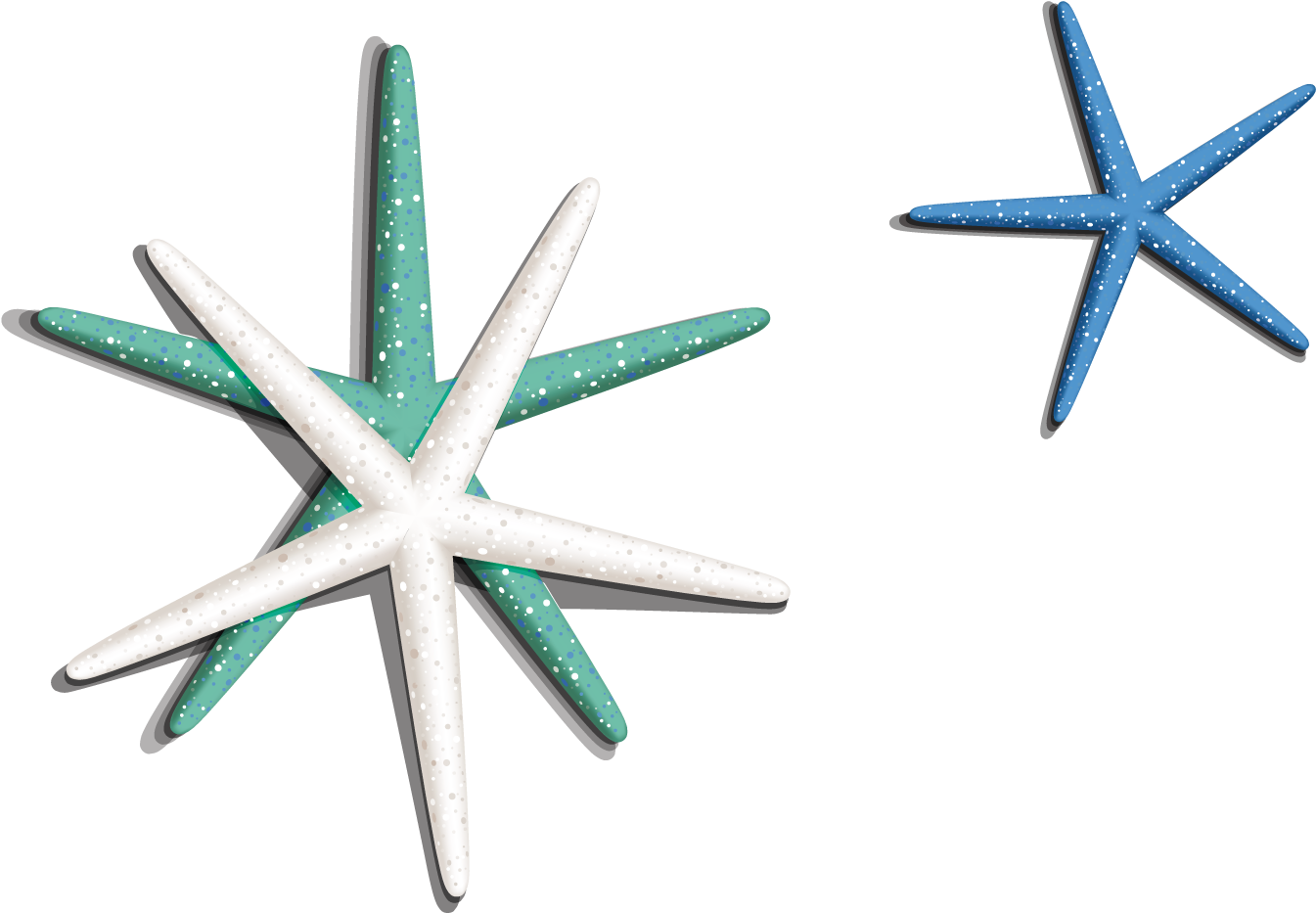Download Sea Star Png Image - Starfish - Full Size PNG Image - PNGkit