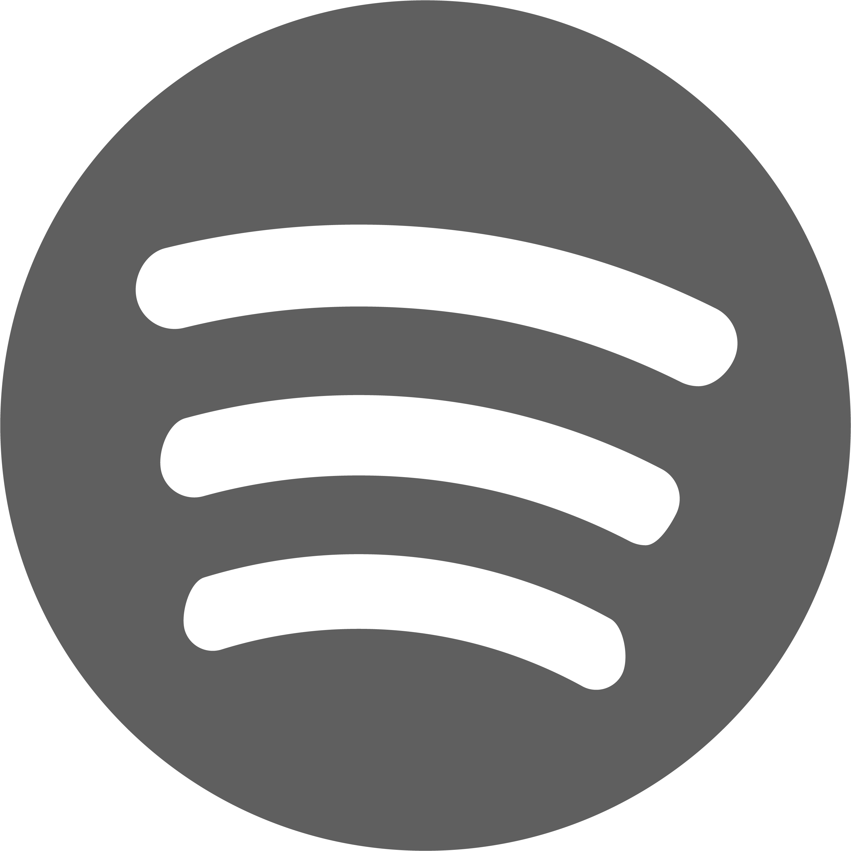 Download Transparent Spotify Logo Transparent Background - Transparent Spotify Logo Black - PNGkit