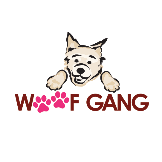 Download Woof Gang - Kishu - Full Size PNG Image - PNGkit