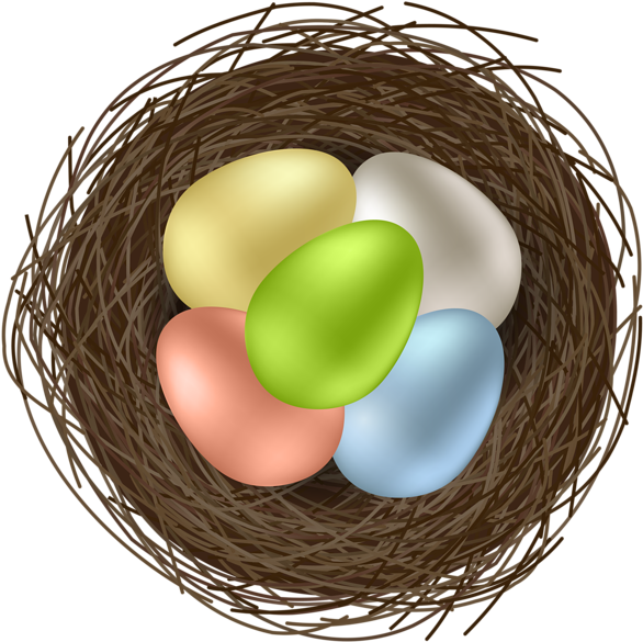 Download Easter Eggs In Bird Nest Transparent Image - Egg - Full Size ...