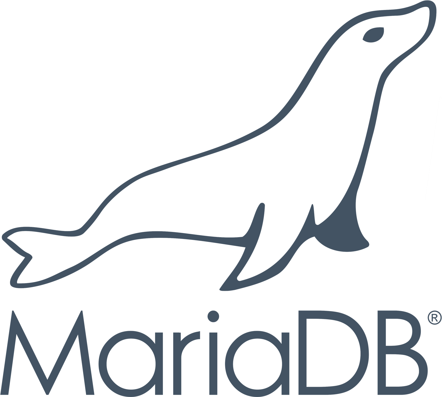 Download Mariadb Corporation Ab - Mariadb - Full Size PNG Image - PNGkit