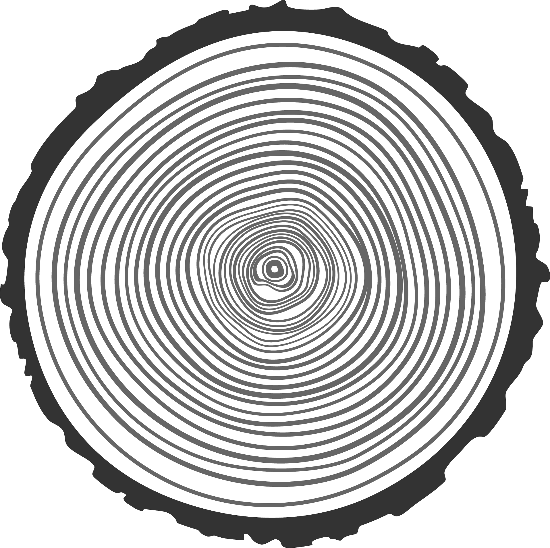 Download Drawn Ring Hand Drawn - Transparent Tree Ring Png - Full Size ...