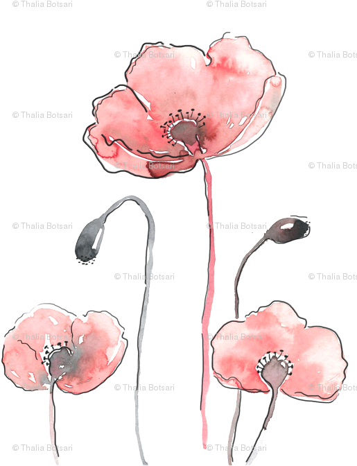 Download Poppy - Full Size PNG Image - PNGkit