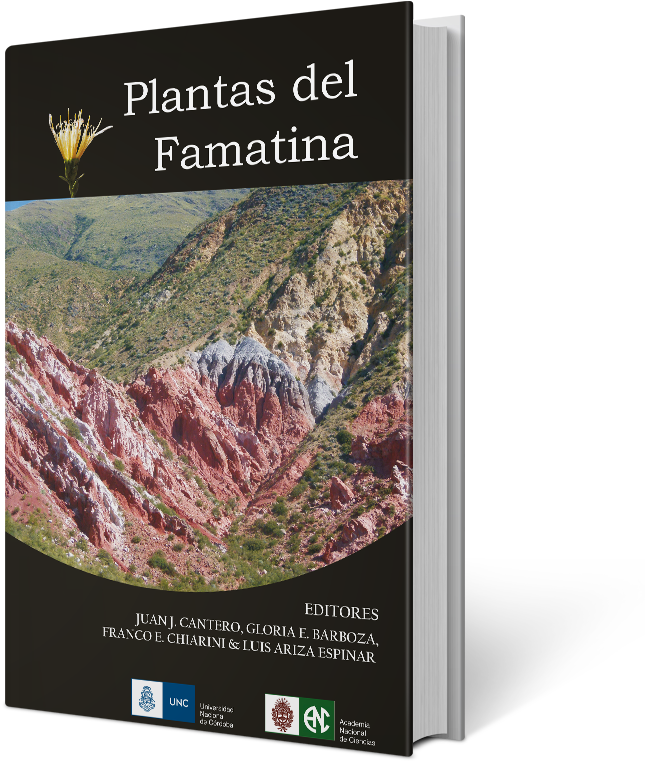 Download Summit - Full Size PNG Image - PNGkit