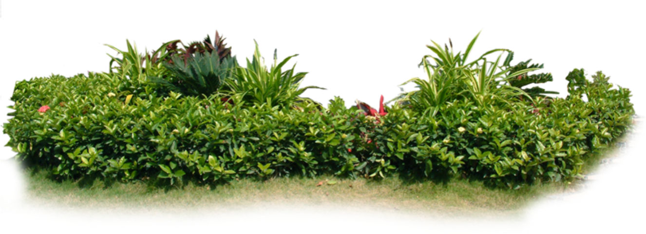 Download Free Green Grass Psd - Full Size PNG Image - PNGkit